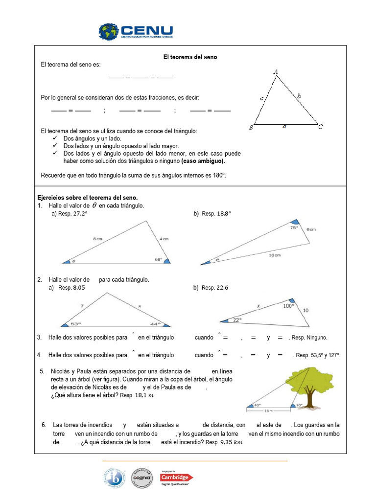 3_ Teorema Del Seno | PDF
