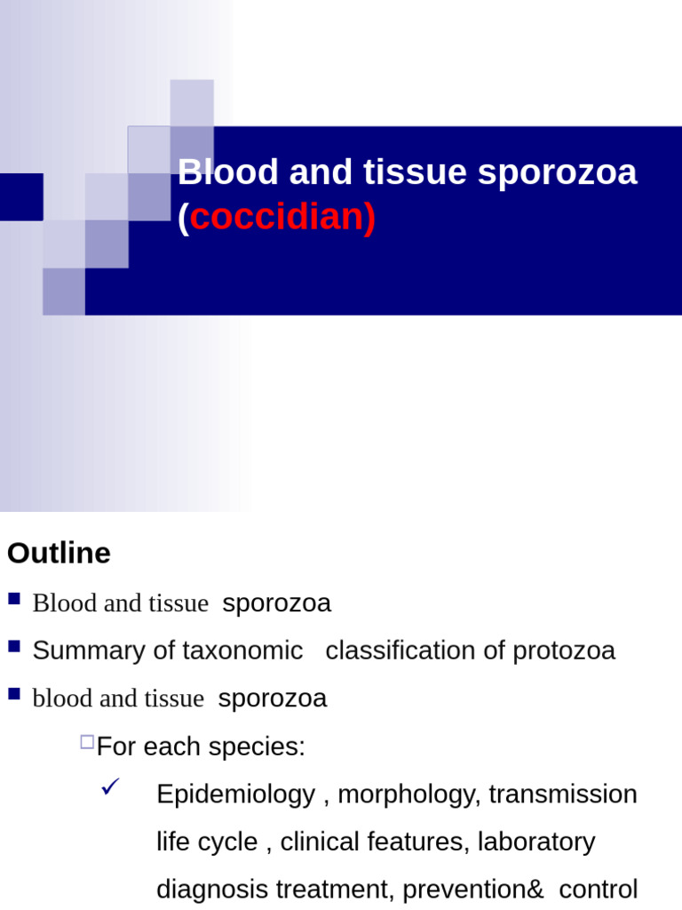 Blood and TISSUE Coccidian | PDF | Malaria | Plasmodium Falciparum