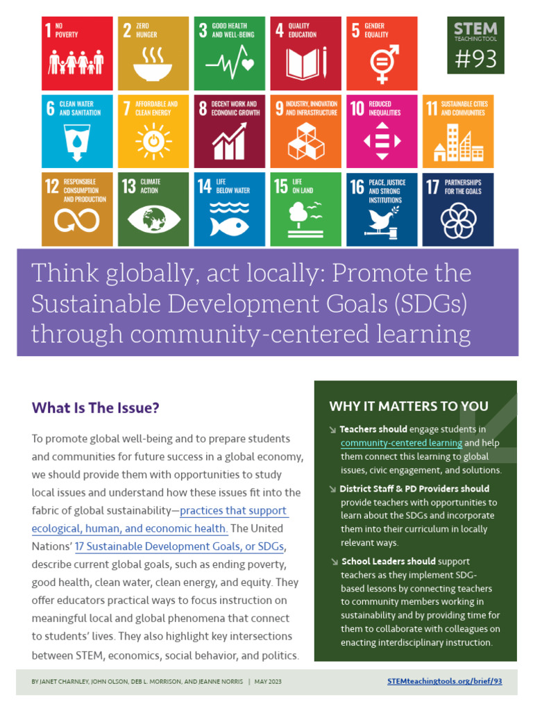 Integrating SDGs in Local Education | PDF | Sustainable Development ...