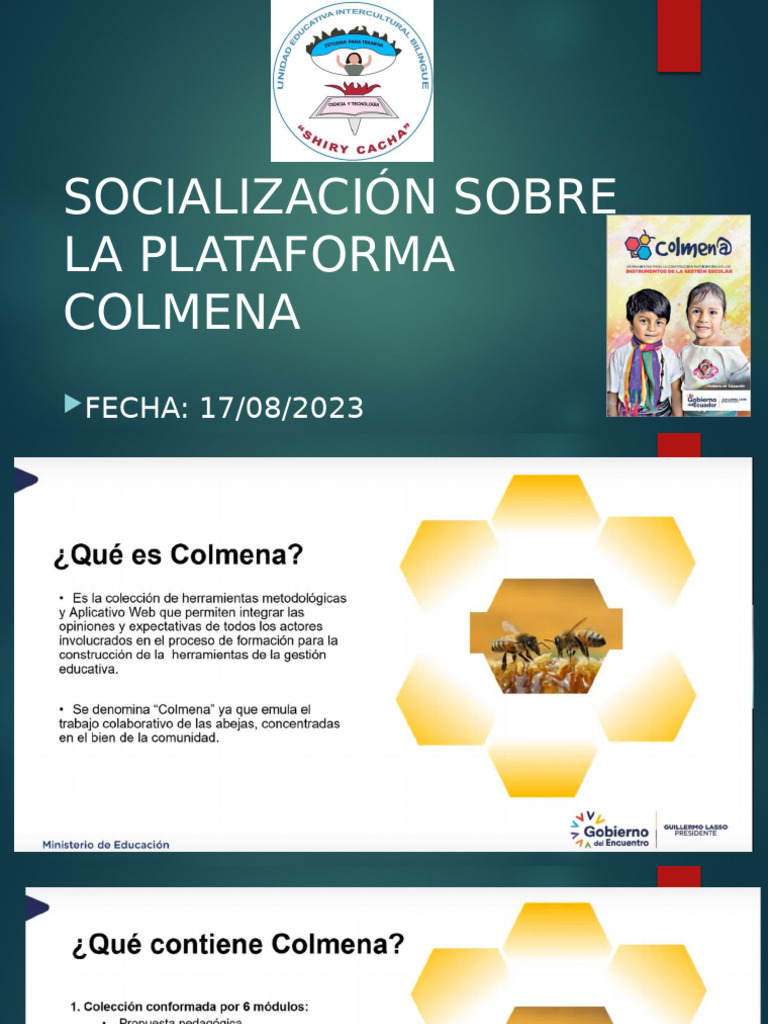 SOCIALIZACIÓN COLMENA | PDF