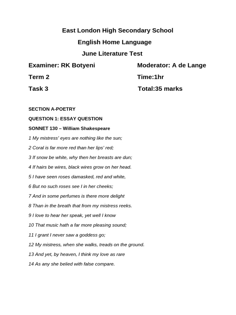 Grade 11 Literature Test: Term 2 | PDF