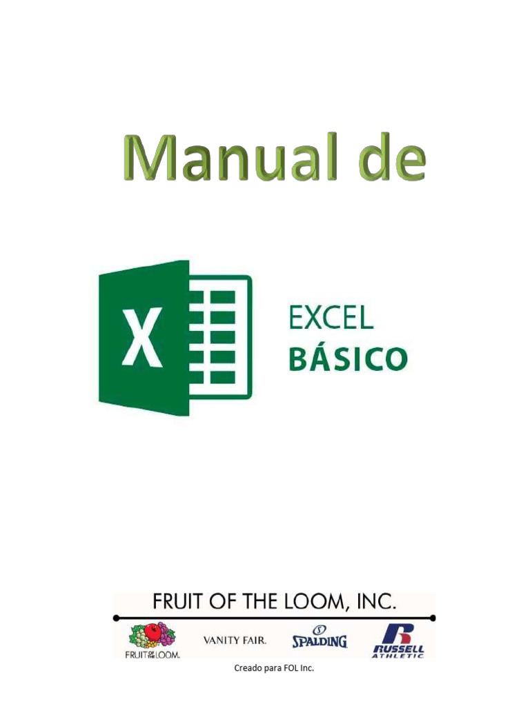 Manual de excel Basico | PDF | Microsoft Excel | Hoja de cálculo