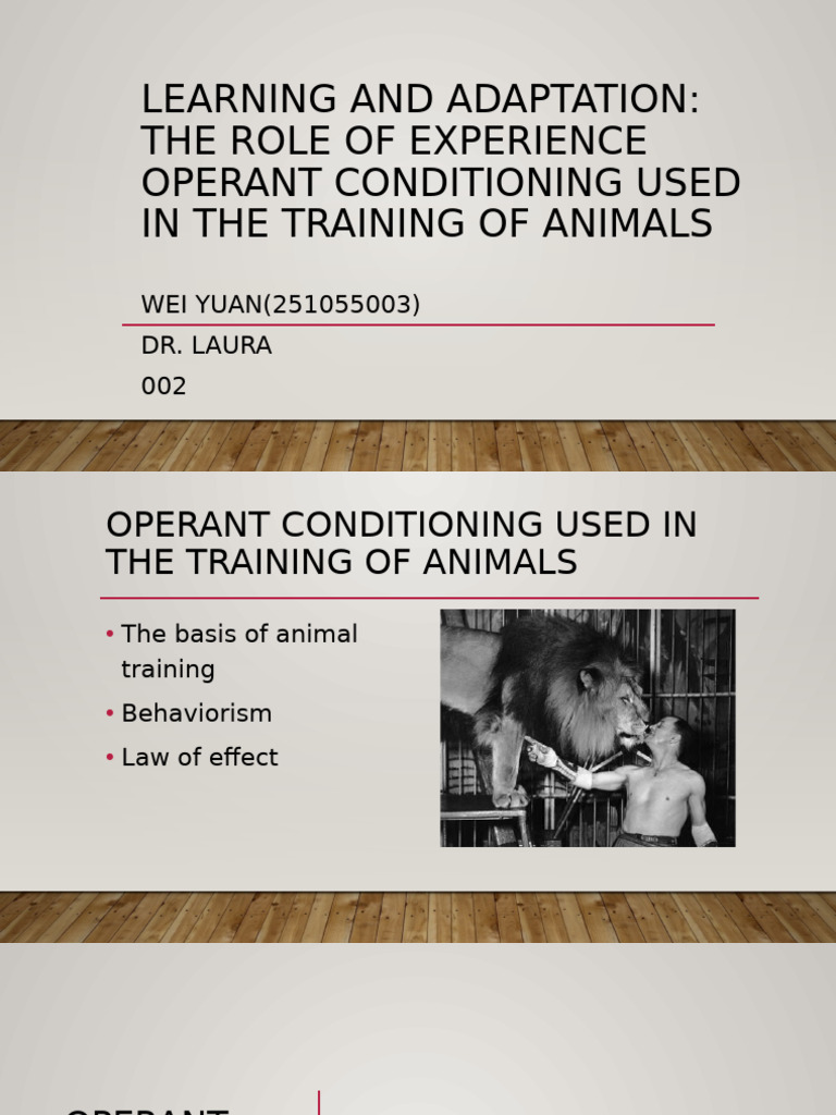 Psychology Assignment2 | PDF | Reinforcement | Animal Training