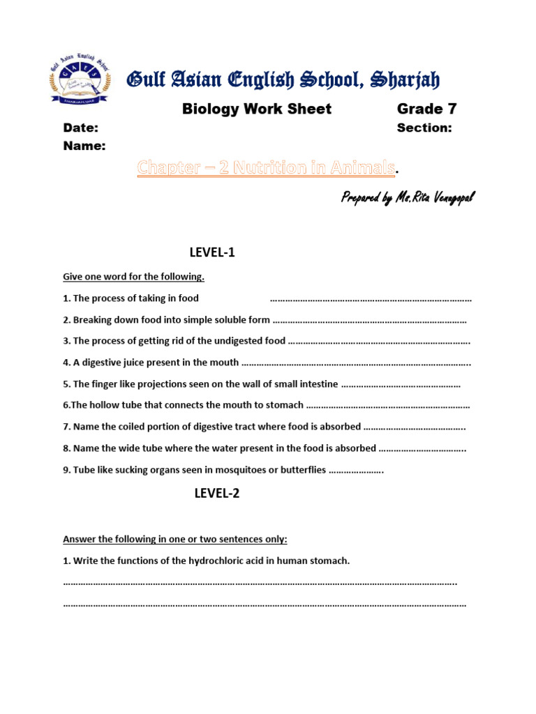 Grade 7 Biology Digestive System Worksheet | PDF | Bile ...