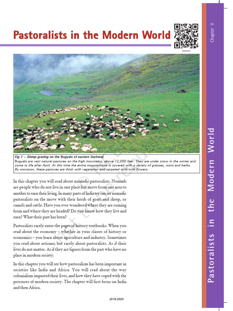 Modern Nomadic Pastoralism in India | PDF | Pastoralism | Agriculture