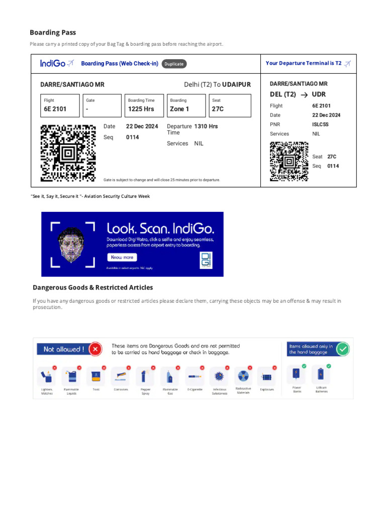 Boarding Pass (1) | PDF