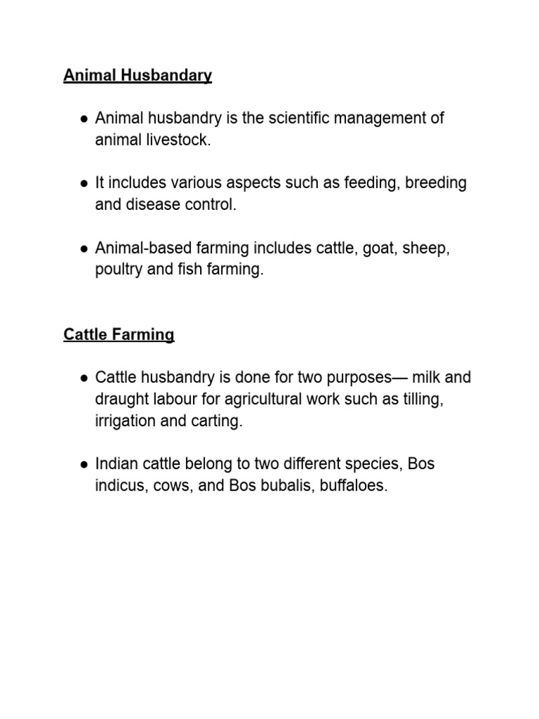 Overview of Cattle Farming Practices | PDF | Honey Bee | Cattle