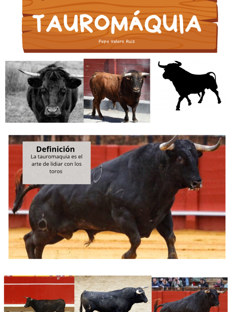 Introducción a la Tauromaquia y Toreo | PDF