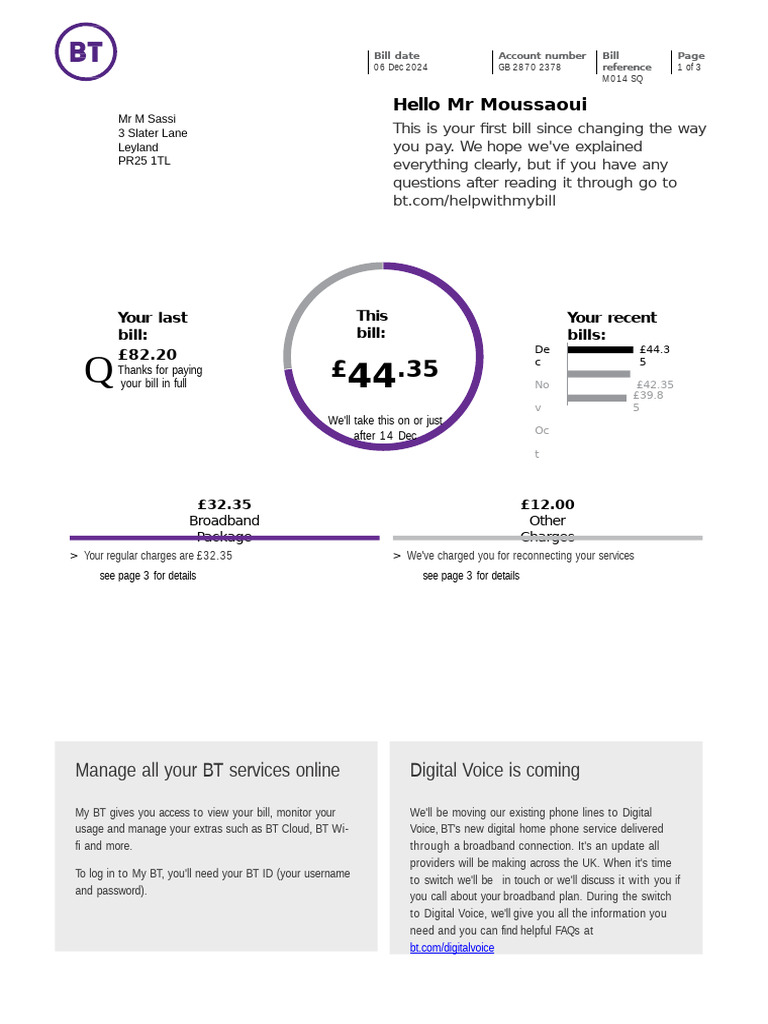 December 2024 BT Bill Summary | PDF | Debit Card | Payments