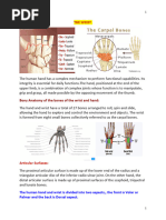 Hand X-Ray Anatomy and Injury Assessment | PDF | Hand | Thumb