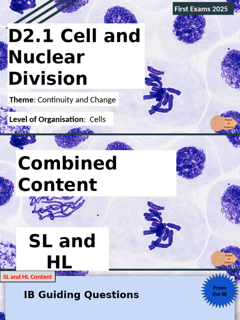 Cell and Nuclear Division in Eukaryotes | PDF | Meiosis | Mitosis