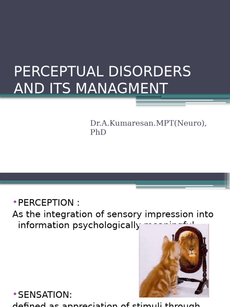 4.perceptual Disorders 1 | PDF | Parietal Lobe | Perception