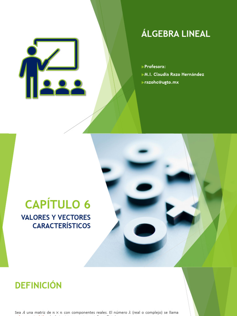 ÁLGEBRA LIENAL Capítulo 6 | PDF | Valores propios y vectores propios | Matriz (Matemáticas)