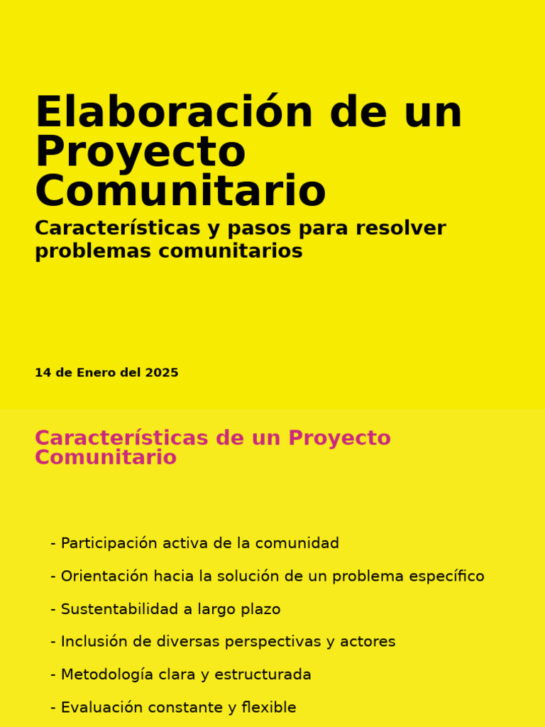 Proyecto Comunitario | PDF