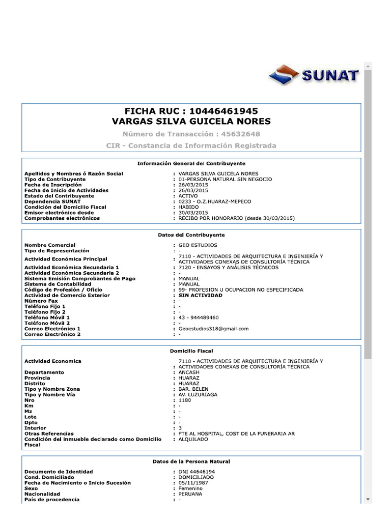 SUNAT - Men_ SOL guice | PDF