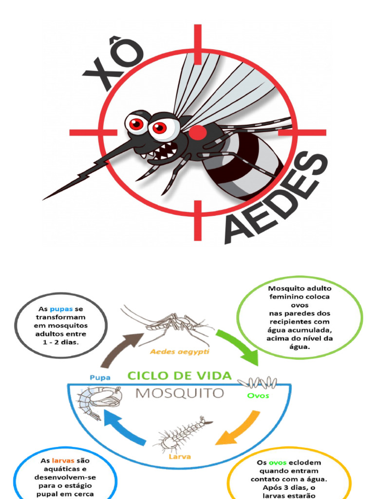 Aedes Aegypt | PDF