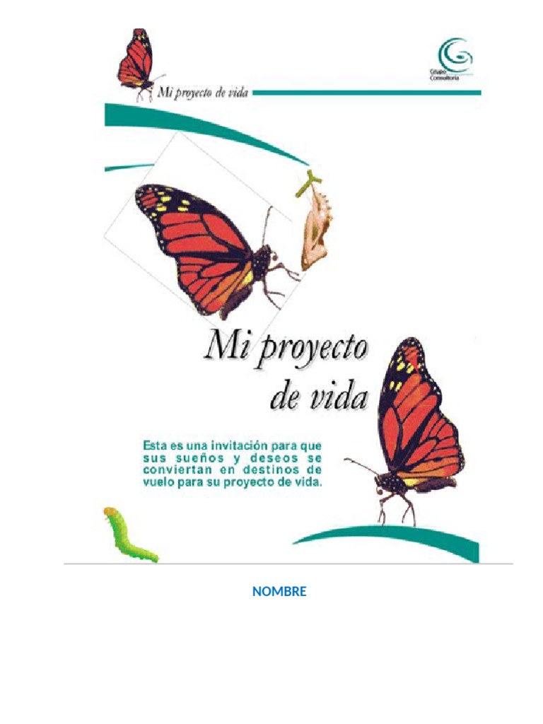 Mi Proyecto De Vida Esquema De Trabajo Pdf Sicología Conceptos