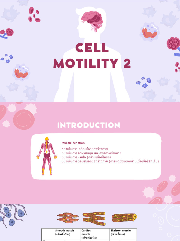 Cell Motility 2 | PDF