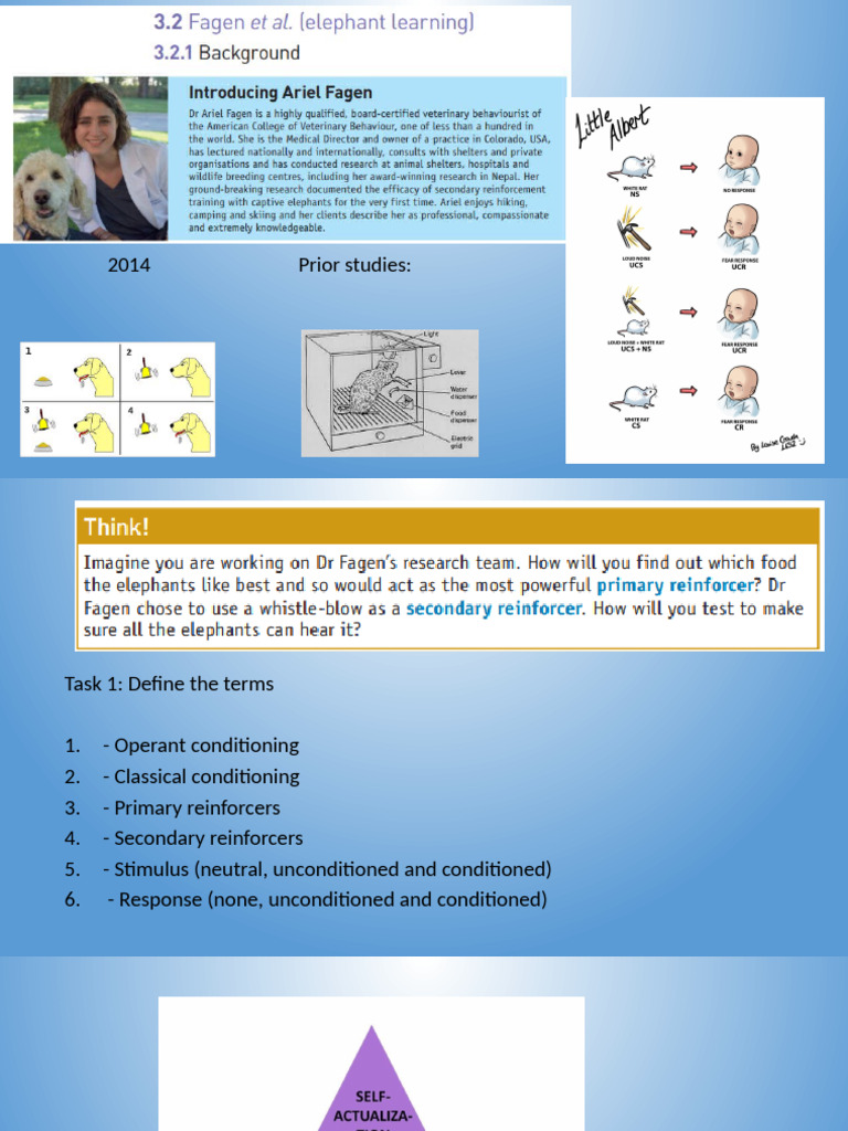 L1 Fagen Et Al (2014) Introduction | PDF