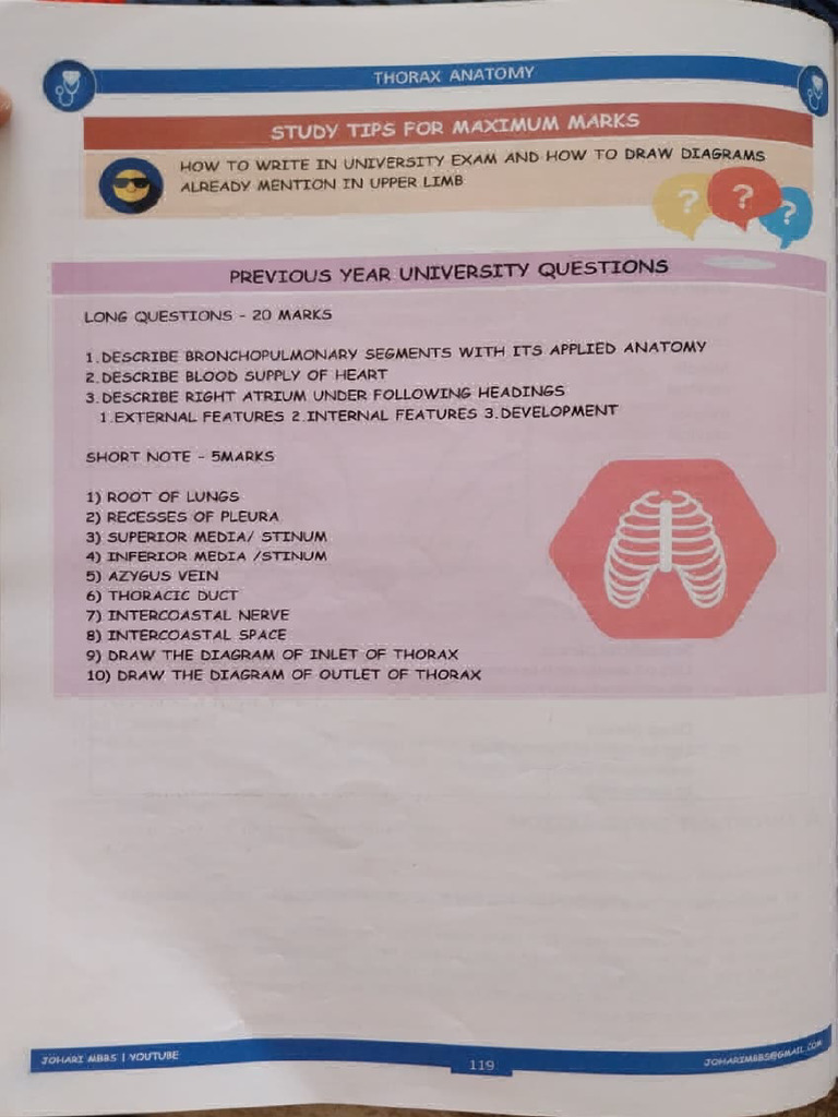 Abdomen Notes | PDF | Atrium (Heart) | Coronary Circulation