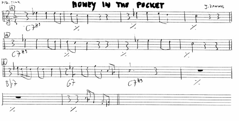 Money in The Pocket | PDF