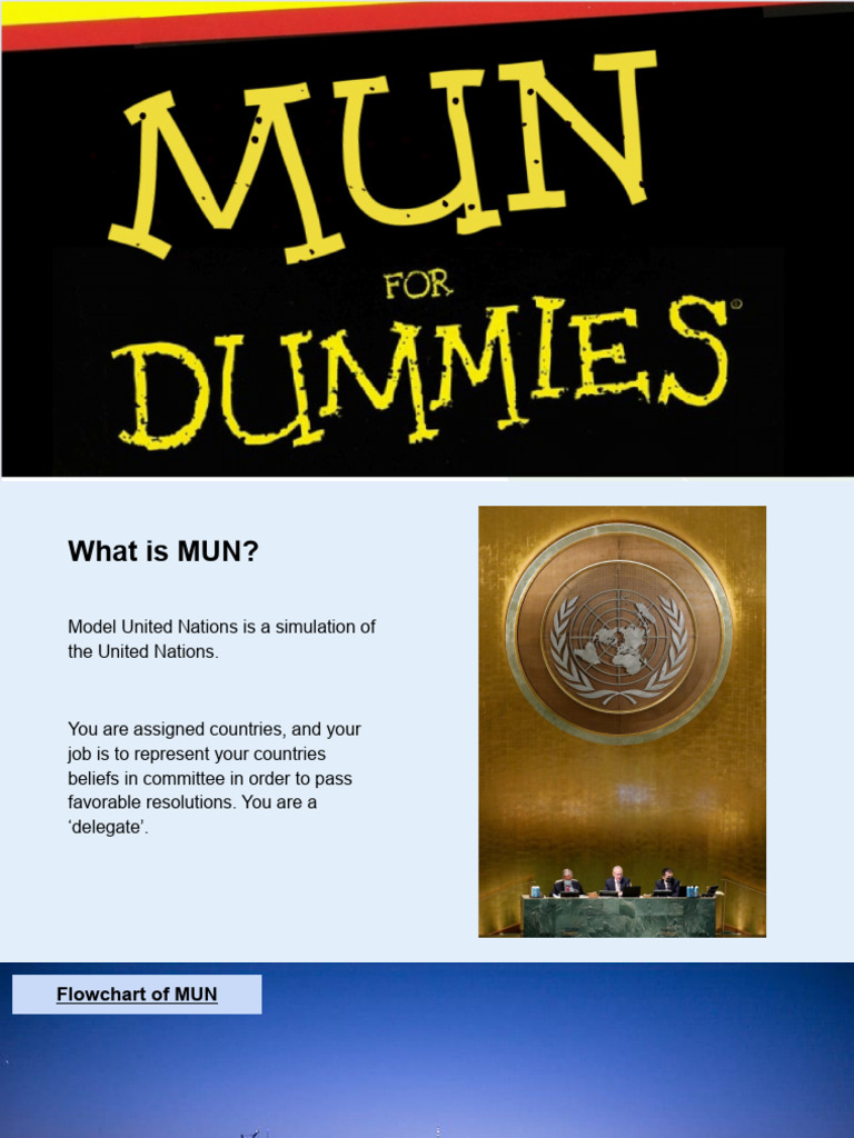 MUN Explained | PDF