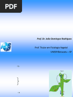 Cocori Libro Completo | PDF