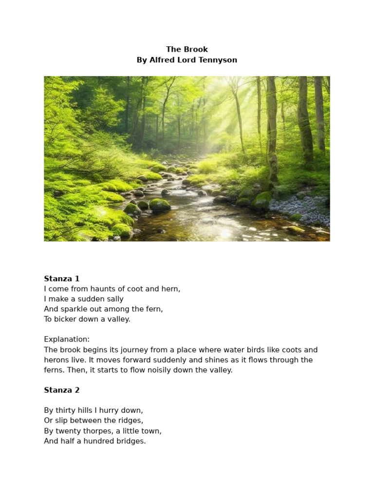 The Brook Explanation | PDF