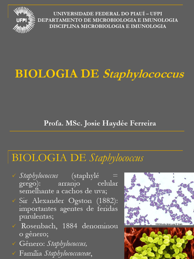 Aula - 12 - BIOLOGIA DE Staphylococcus | PDF | Staphylococcus Aureus | Estafilococo