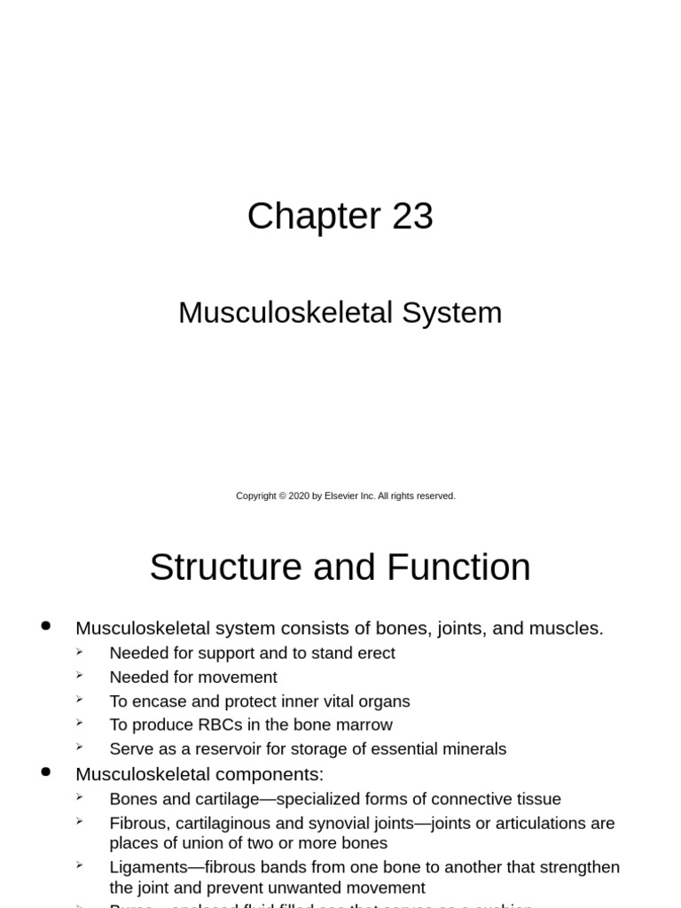 Chapter - 023-Musculoskeletal System | PDF | Anatomical Terms Of Motion ...