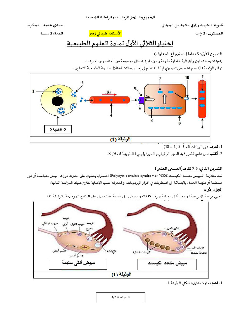 Dzexams 2as Sciences 952262 | PDF