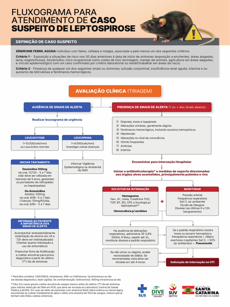 Leptospirose Fluxograma | PDF | Remédio | Causas de morte