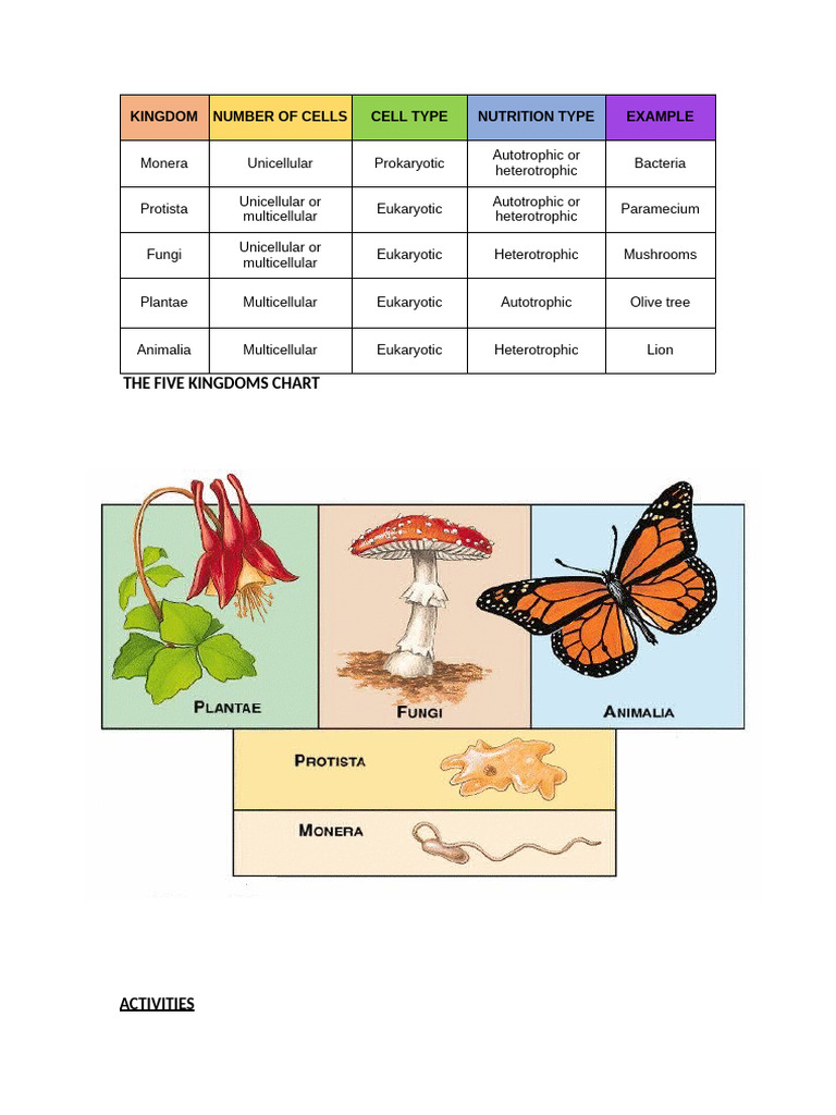 The Five Kingdoms (1º Eso) | PDF