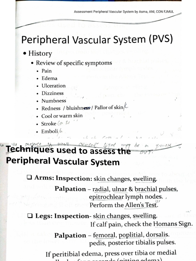Assessment Peripheral Vascular System by Asma, ANI CON FJMUL | PDF