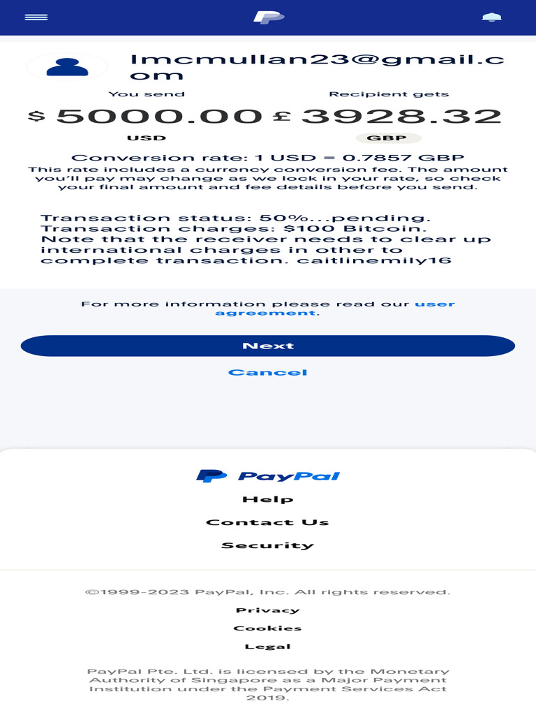 PayPal Make a Payment Preview 2 | PDF