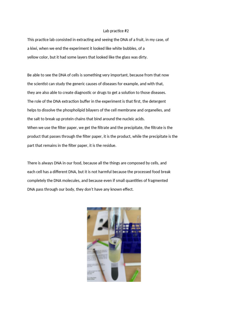 Kiwi DNA Extraction Lab Results | PDF