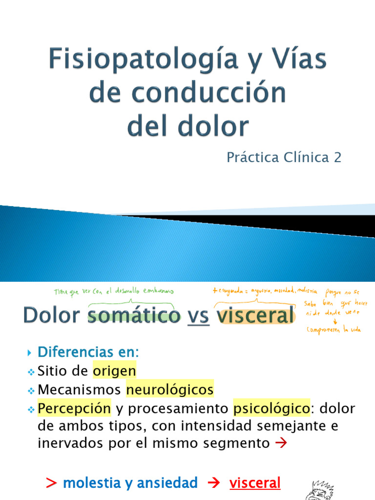 Dolor Visceral y Somático: Diferencias y Mecanismos | PDF | Dolor | Abdomen