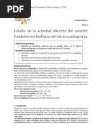 Triángulo de Einthoven y Derivaciones ECG | PDF | Electrocardiografia ...