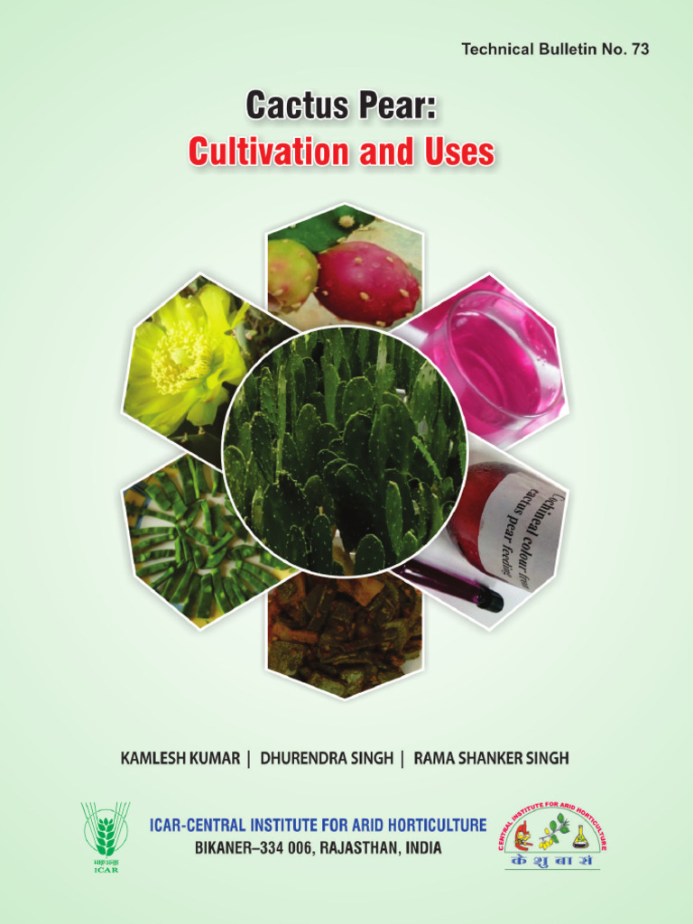 Cactus Pear | PDF | Dietary Fiber | Diet & Nutrition