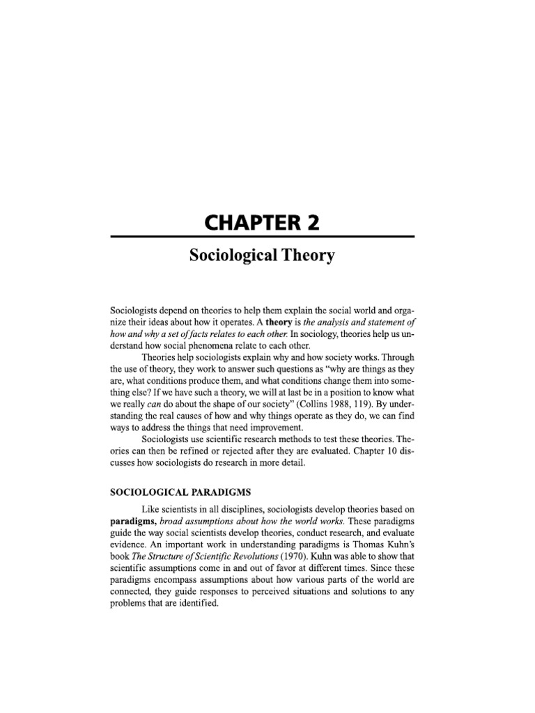 Sociological Theory (Kathy S Stolley) | PDF