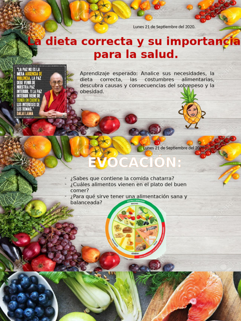 Guía de Alimentación Saludable | PDF | Alimentos | Dieta