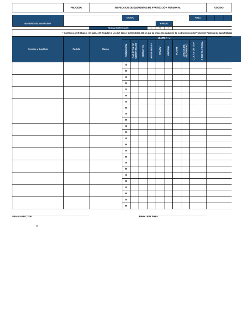 Formato de Inspeccion Epp | PDF
