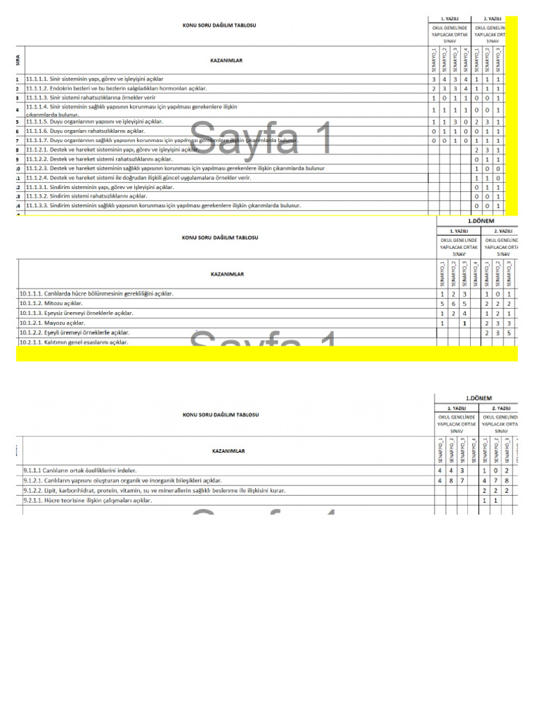 Yazılı 2 Senaryo | PDF
