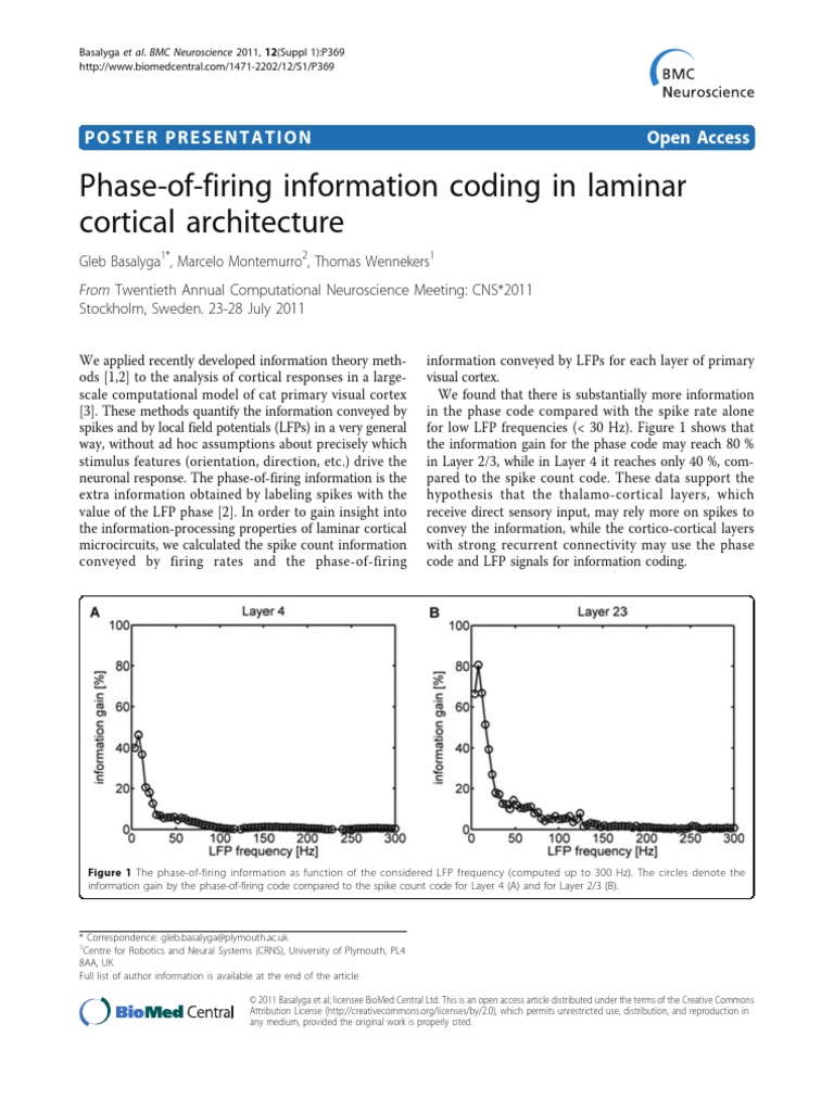 TMP DCB8 | PDF | Cerebral Cortex | Action Potential