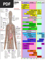Antibiotic Sensitivity and Coverage Chart | PDF | Gram Negative ...