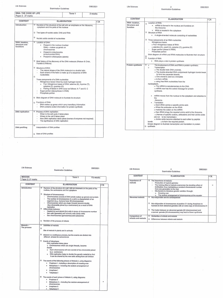 Grade 12 Examination Guidelines Pagers For Learners-1 | PDF