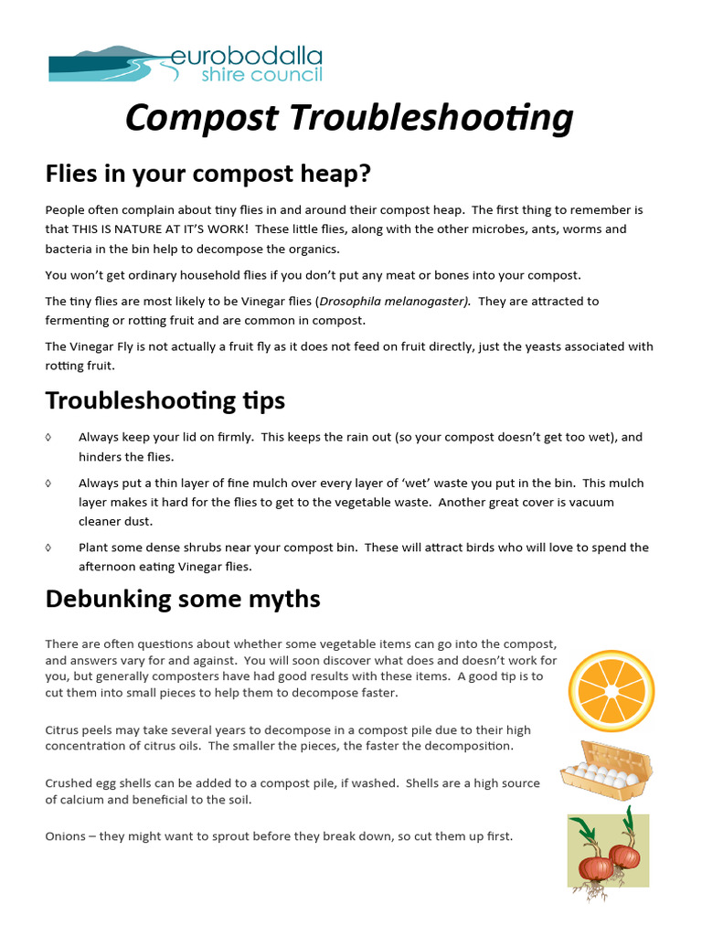 Compost Trouble Shooting - Flies Myths and Coffee Grounds | PDF ...