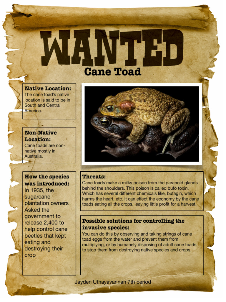 Open Invasive Species WANTED Poster 2020-2021 | PDF
