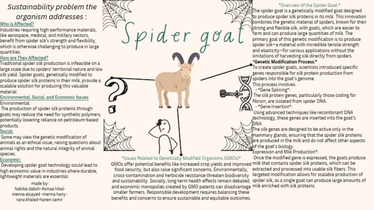 Spyder | PDF | Genetic Engineering | Genetically Modified Organism