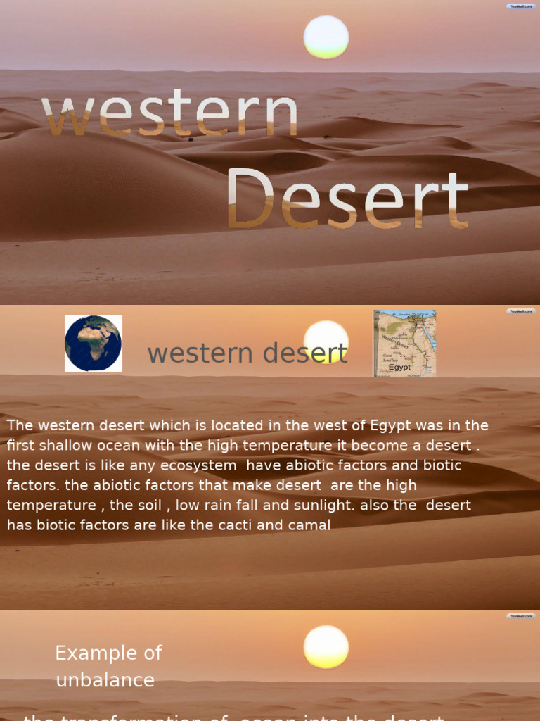 Western Desert Ecosystem Overview | PDF | Desert | Ecosystem